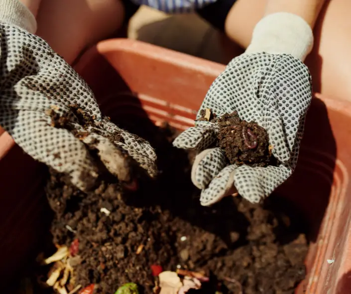 How to make compost for your plants at home