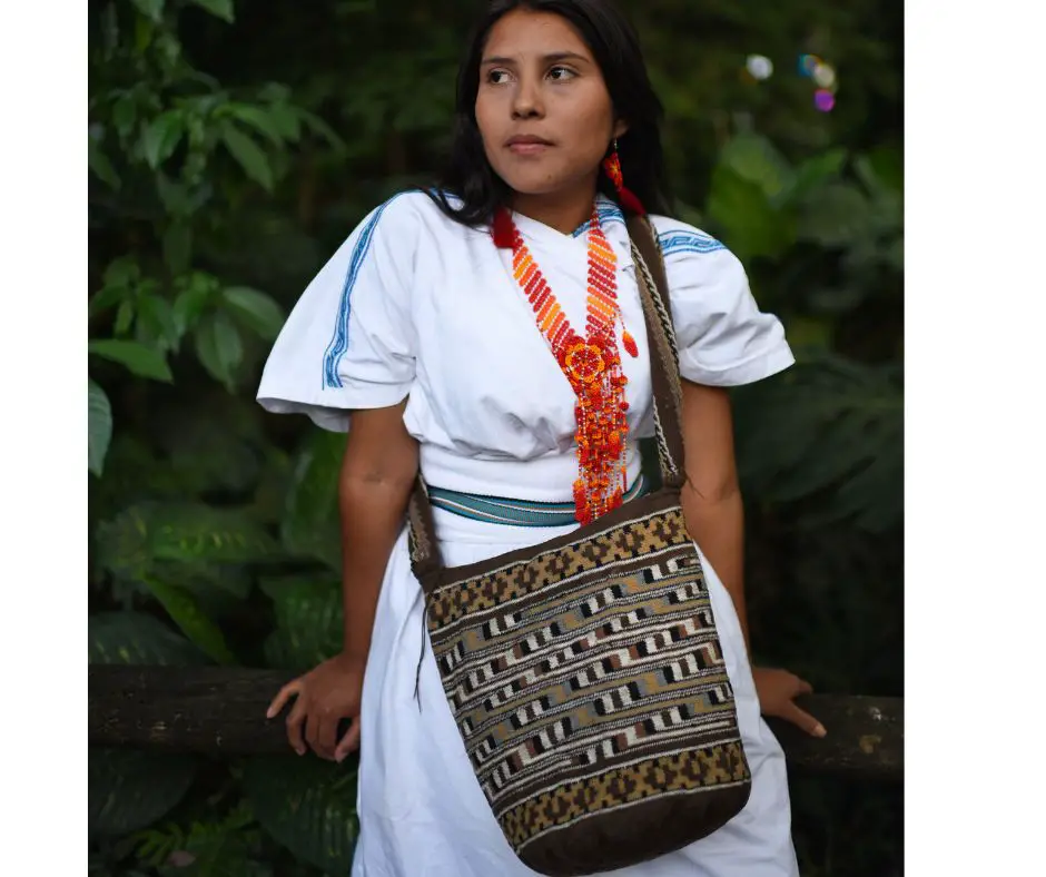 Indigenous ethnic groups of Colombia